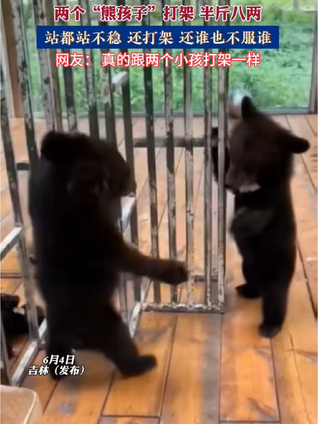 真的跟两个小孩打架一样