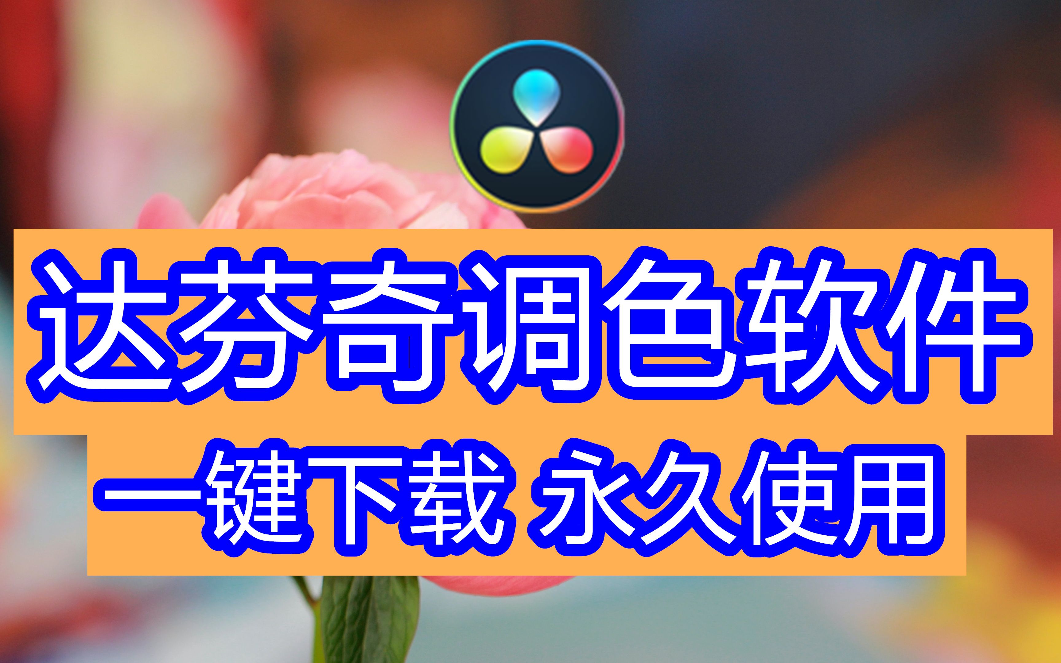 ...调色软件pc免费版下载,达芬奇软件 无法找到入口,davinci工具dev和cfg