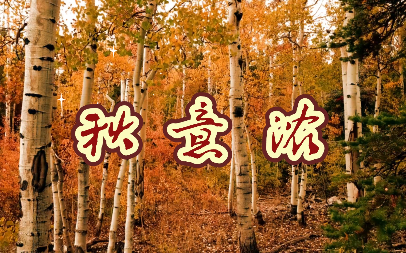 秋天的树林|治愈系|刷题 安静