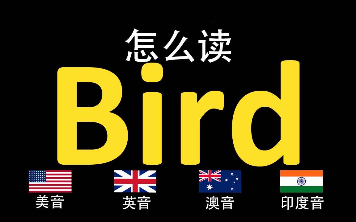 鸟Bird的英语读法,你读对了吗?|美音&英音&澳大利亚音&印度音