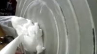 姜维同学教你画兔子
