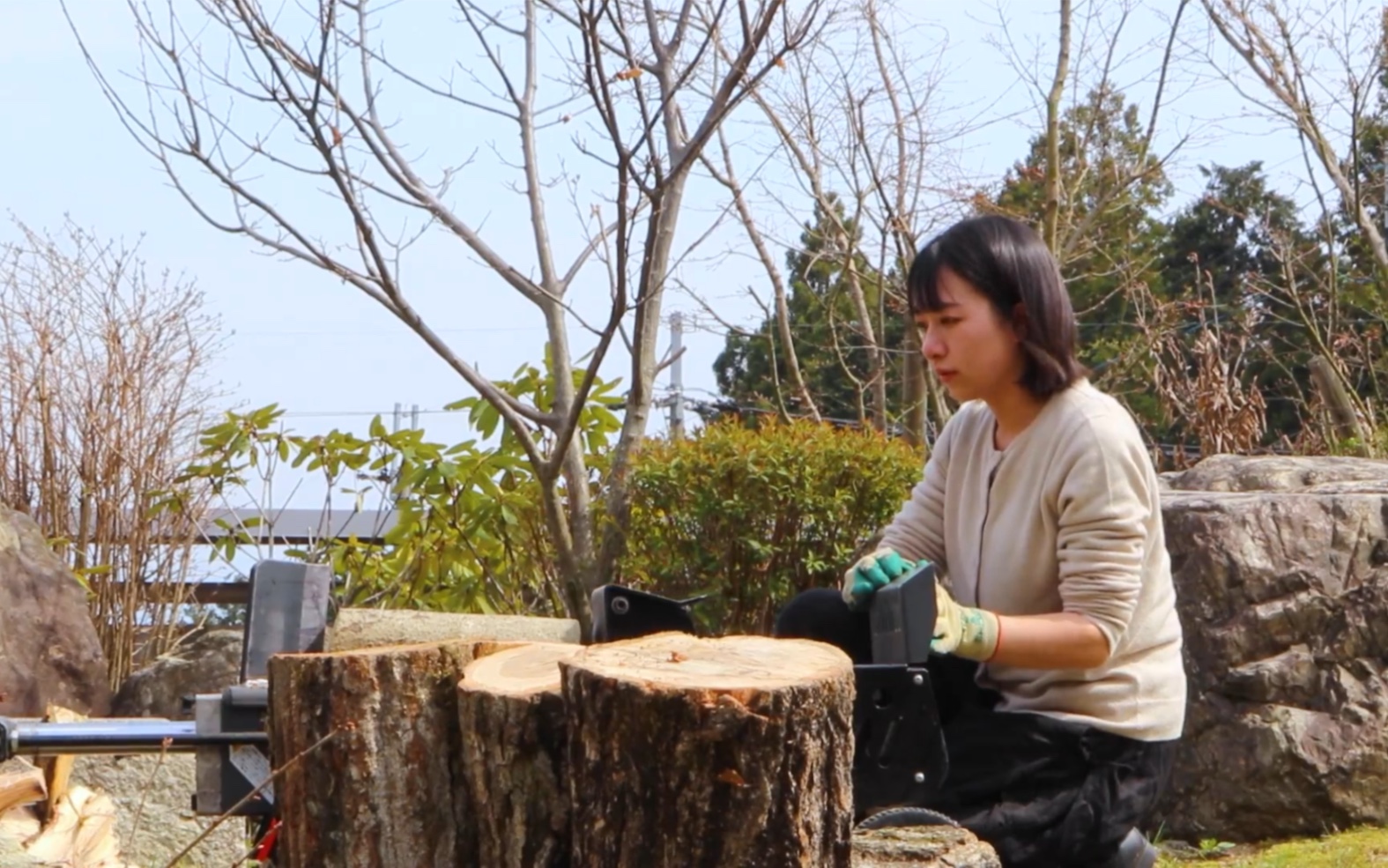 从伐树开始,自己做柴火(上)