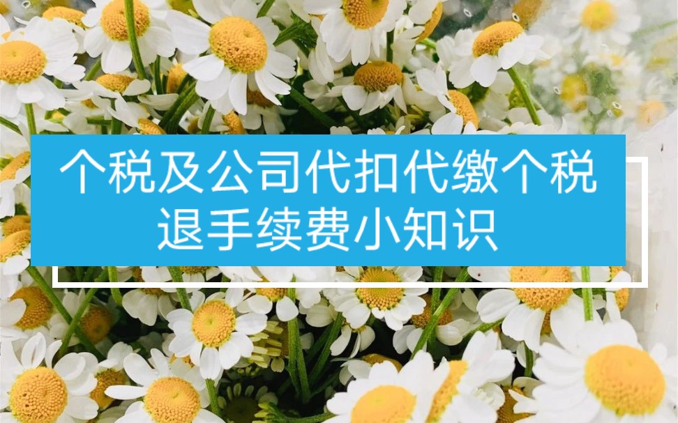 个税和公司代扣代缴个税手续费退费小知识