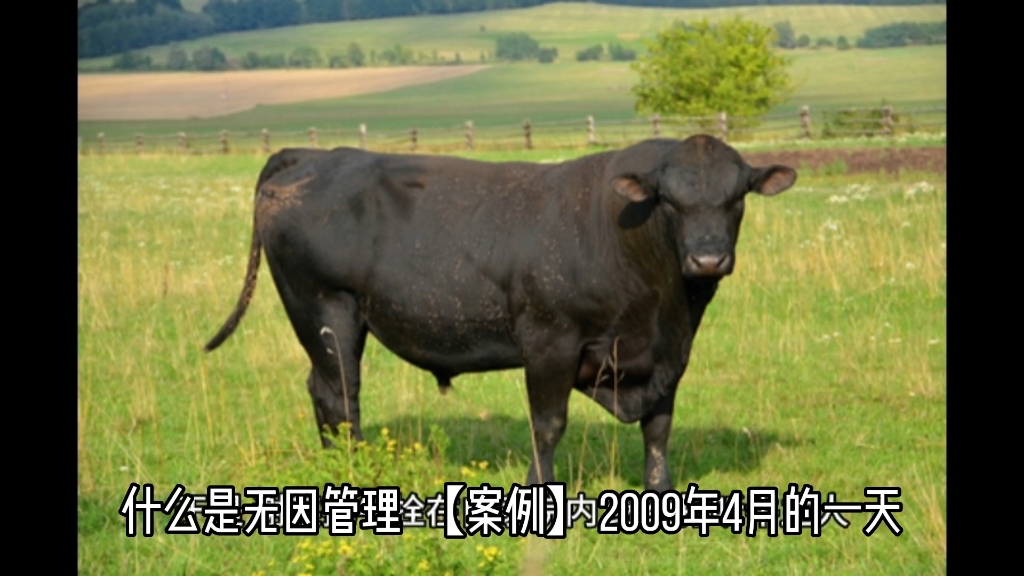 什么是无因管理?