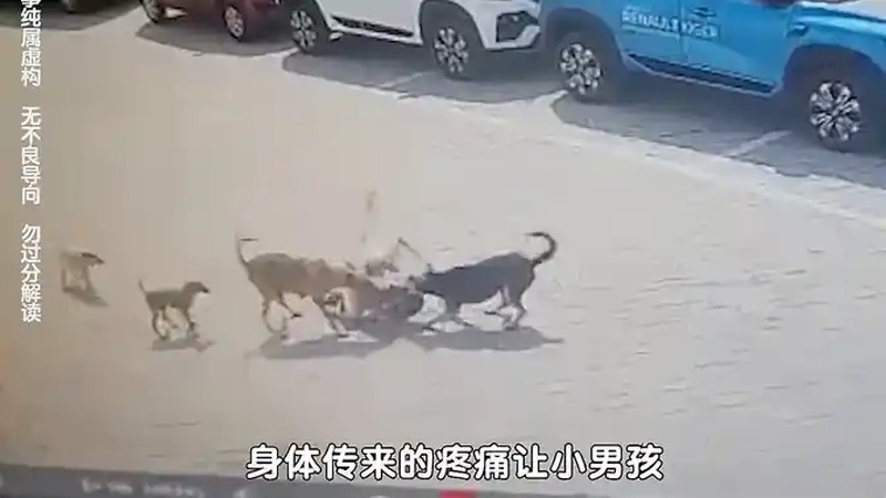 小男孩被疯狗欺负,全身上下都是狗咬的痕迹,父亲知道后冲了上去