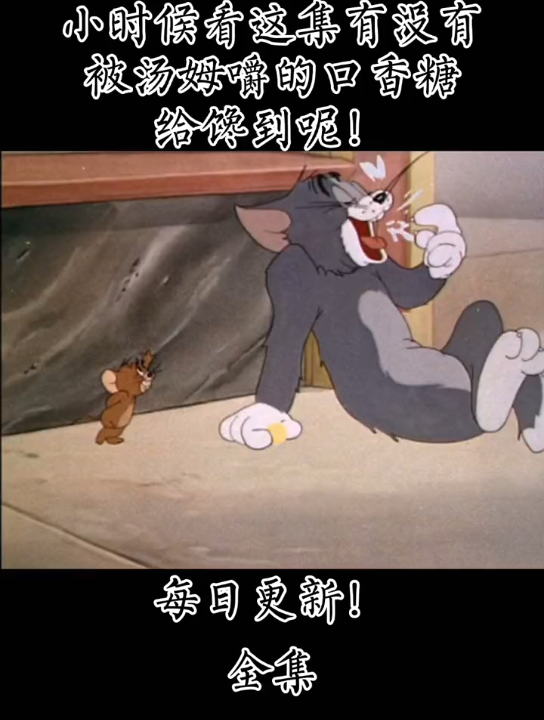 猫和老鼠 动漫 治愈