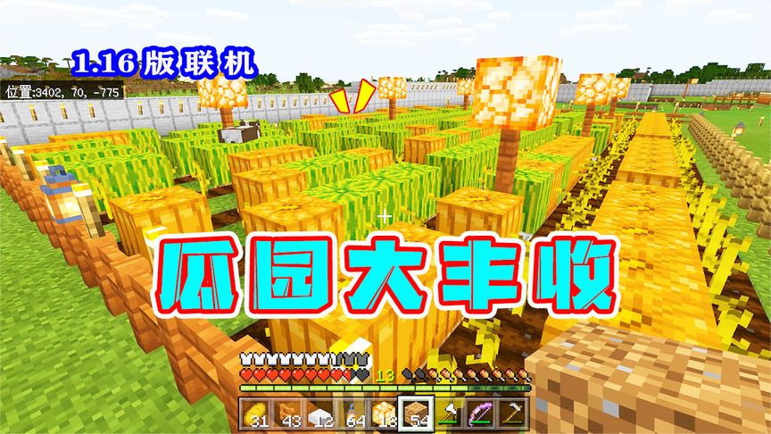我的世界联机69:把随机刻速度调到100,瓜苗生长到结瓜,只需7秒