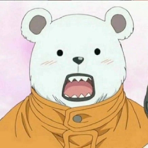 小熊_25h冲浪版 