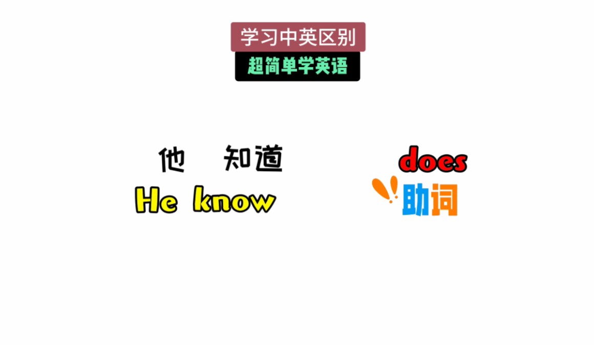 动词为什么加s?