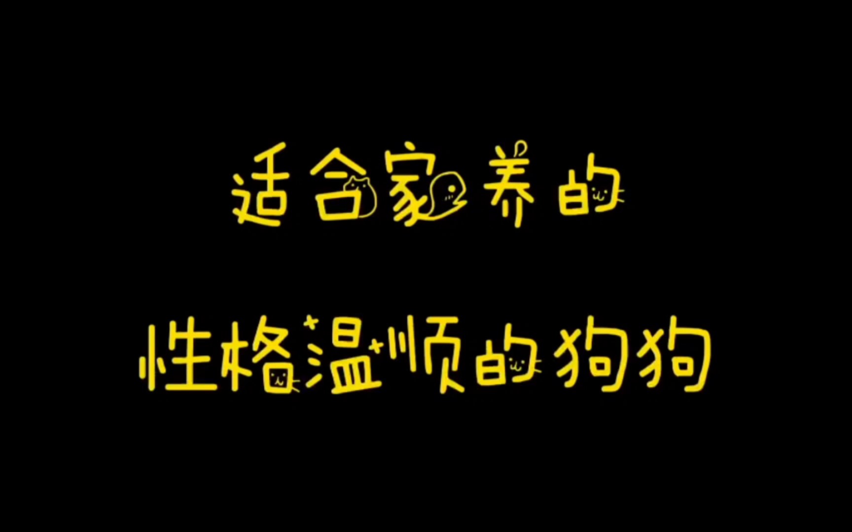 家庭宠物狗狗推荐,适合家养的狗狗有哪些?