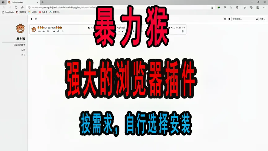 强大的浏览器插件:暴力猴安装流程和使用教程