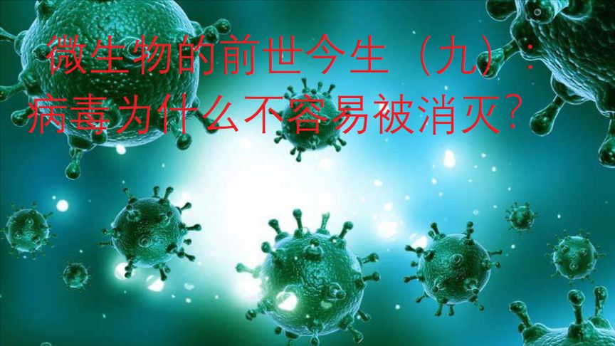 微生物的前世今生(九):病毒为什么不容易被消灭?