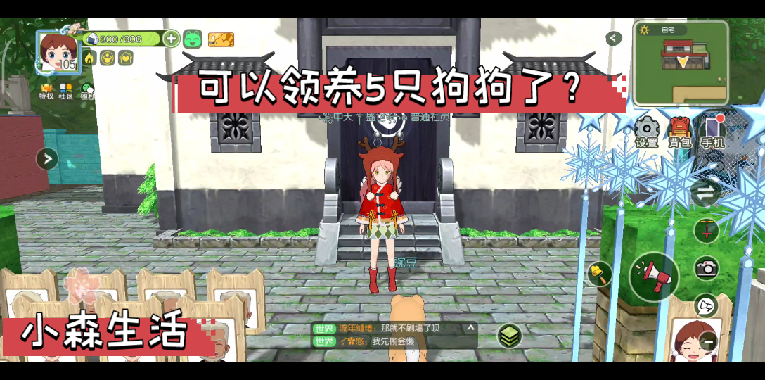 [小森生活]可以领养5只狗狗?|我与狗狗3