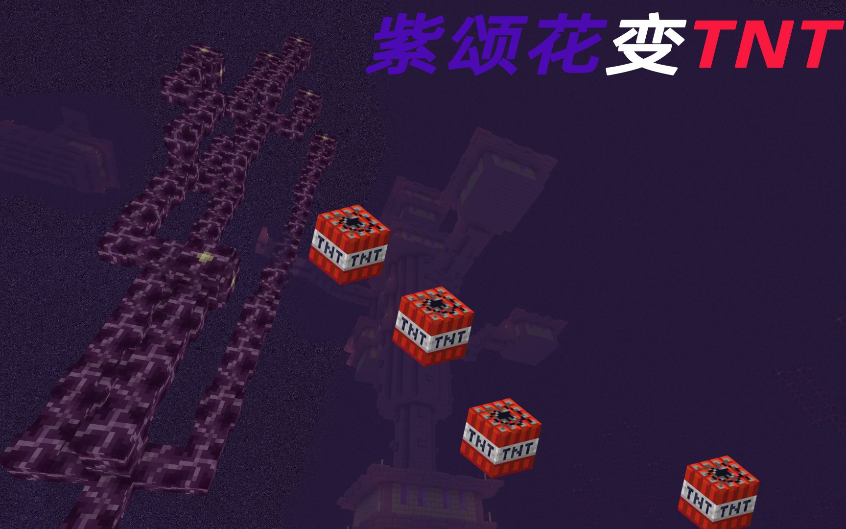 [4K]我的世界简单指令,直接让紫颂果树变成TNT树