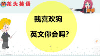 我喜欢狗英文是什么?可别说错了,你知道它的意思吗?