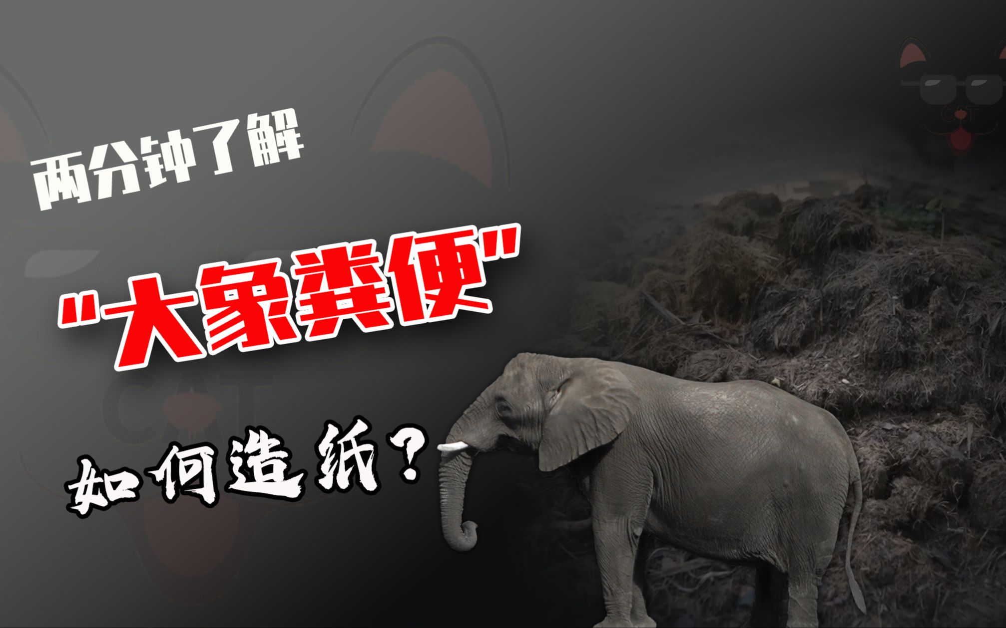 大象的粪便是如何造成纸的?利用大锅炖煮,再浸泡漂洗,然后捞出晾干
