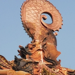 一起发展生产力 