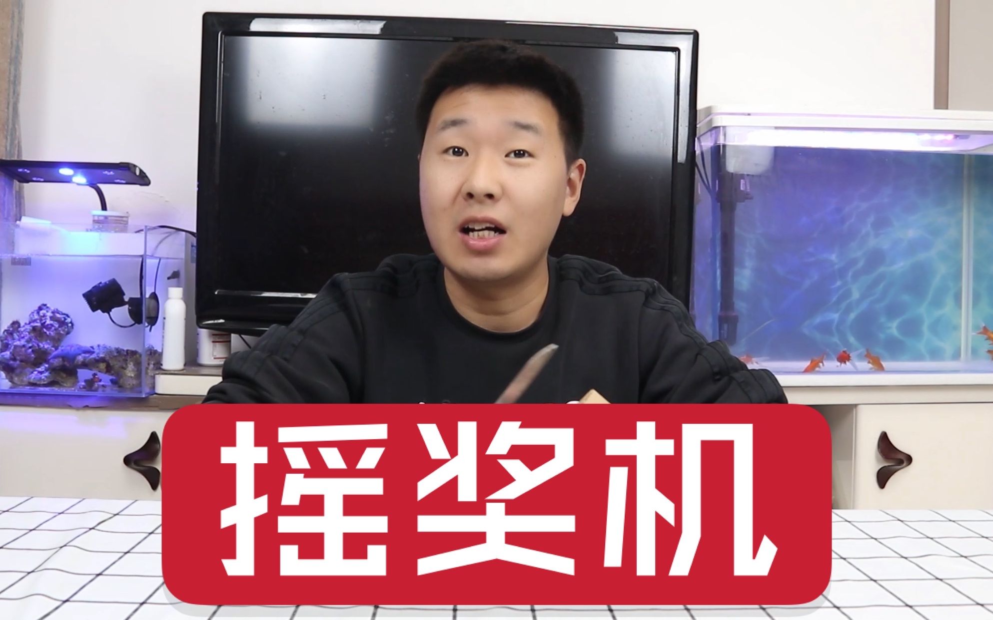 网购一个模拟摇奖机,用它的方法买彩票,真的能中大奖吗