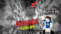 我的世界:诡异事件第一季 第250集 我的世界:MC竟存在幽灵?玩家遭遇...