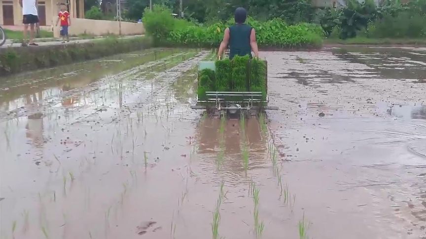 看懂简易水稻插秧机原理,农用市场的商机就是你的