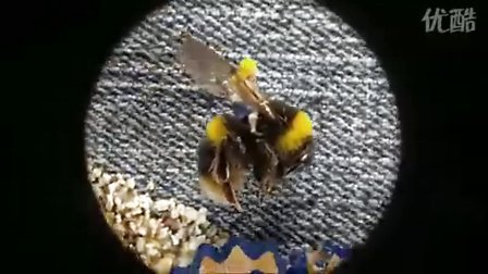 英国阿德曼动画公司利用手机拍摄的定格动画短片《点》