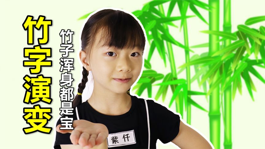 读书说字:竹字从金文、小篆演变到现在,竹子真是浑身是宝!