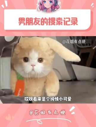 想看看你们男朋友的搜索记录 #搜索记录 #男朋友 #精神状态belike