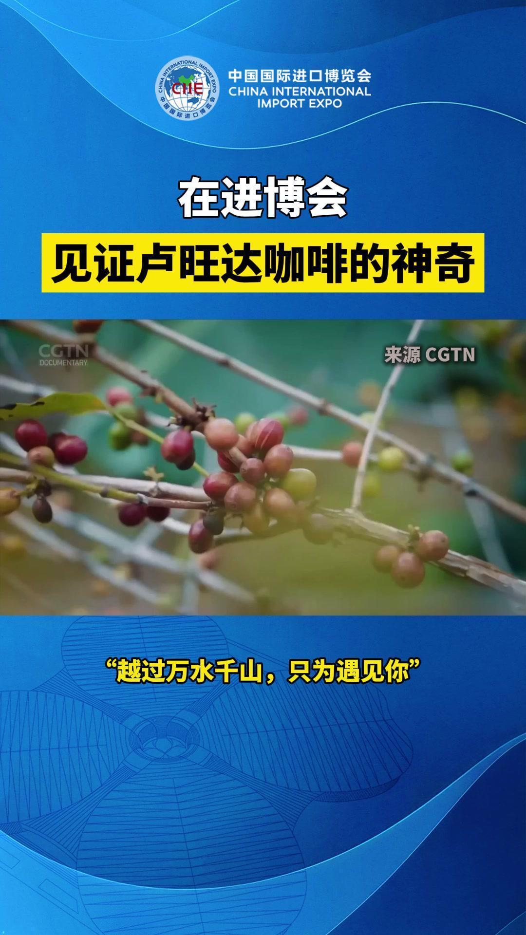 在进博会,见证卢旺达咖啡的神奇。(来源:CGTN)#第七届进博会