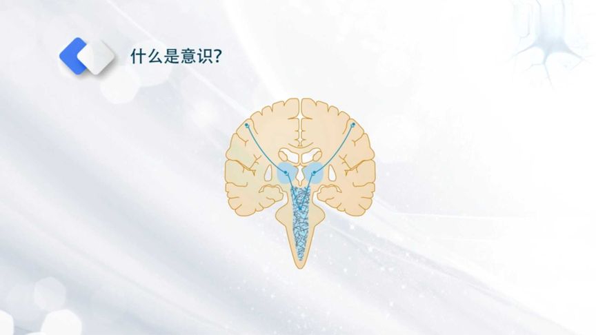 临床神经病学:2.1 意识障碍的概念、分类和鉴别