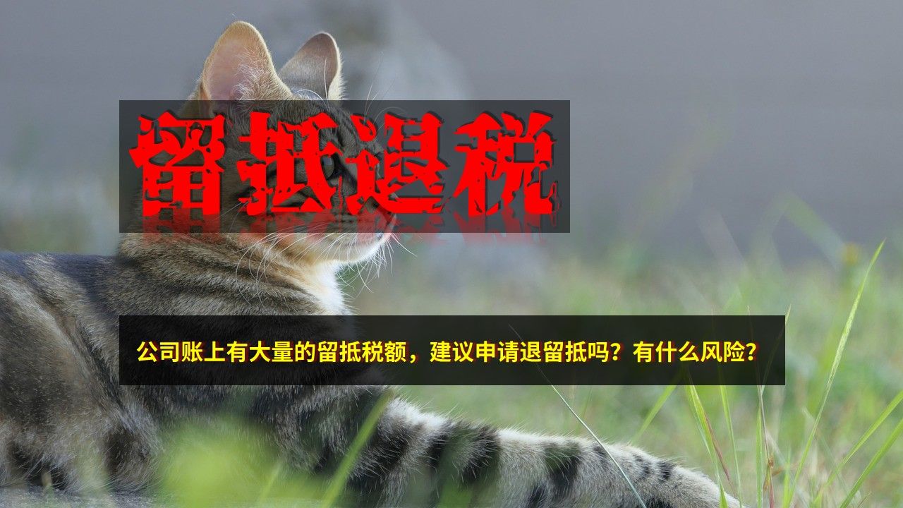 公司账上有大量的留抵税额,建议申请退留抵吗?有什么风险?