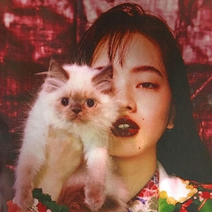 做白日梦的每一天 