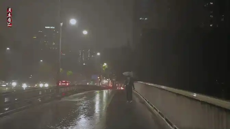 太震撼了,顶级万人盛宴演唱会,全场粉丝大合唱,神级经典之作!