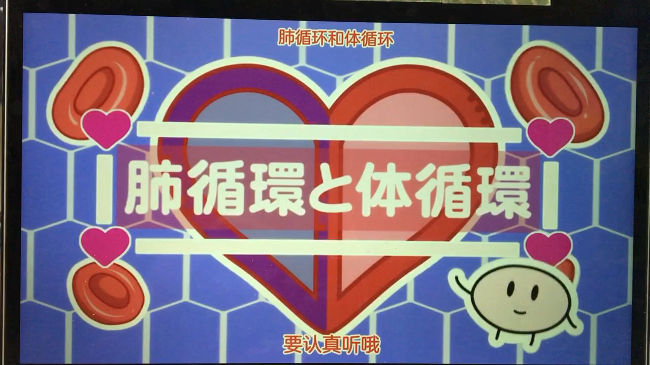 【工作细胞】肺循环和体循环