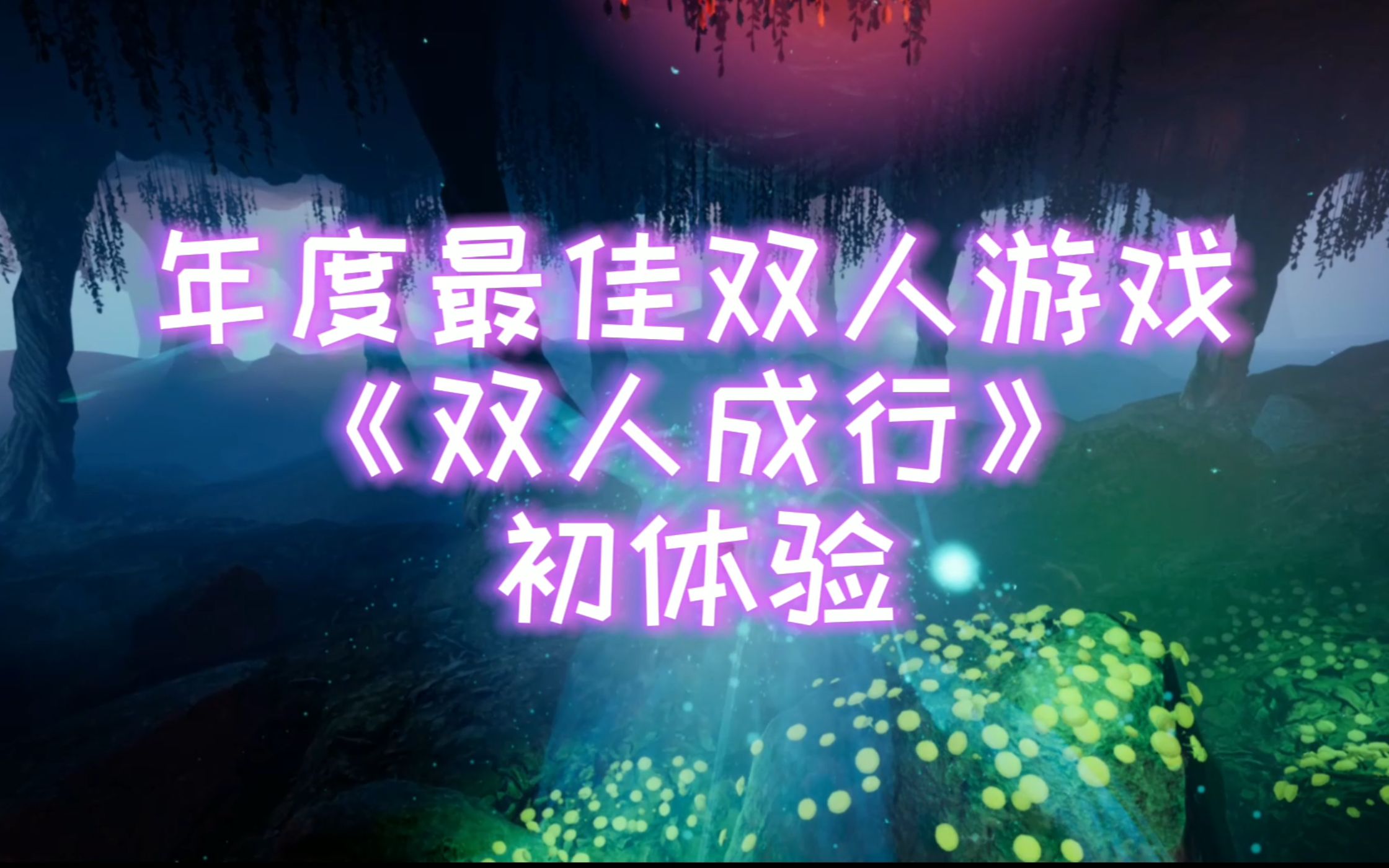 年度最佳情侣游戏《双人同行》初体验,一场暖心治愈之旅