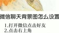 微信聊天背景图怎么设置