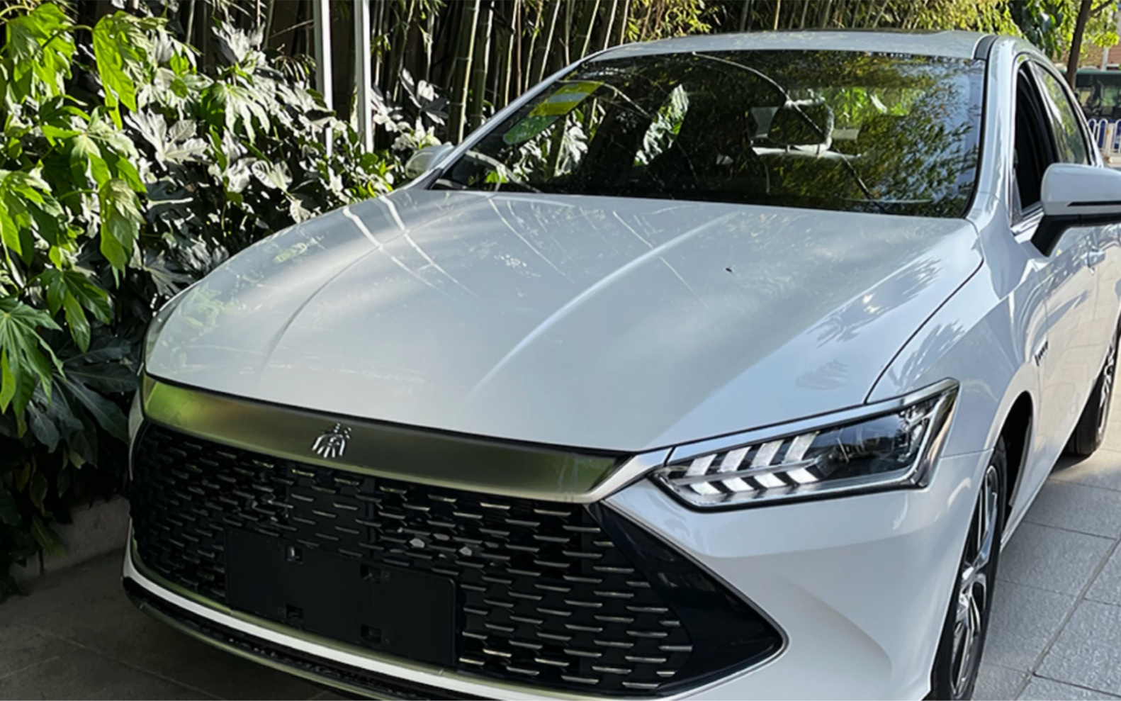 秦PLUS DM-i免费选装升级包括:全系可选装一体式全液晶仪表;全系...