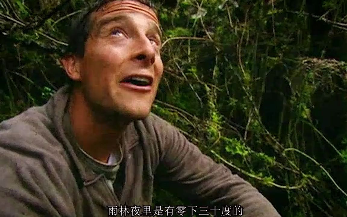 【森林探险】食物链最顶端的男人 贝爷挑战亚马逊雨林 #野外生存