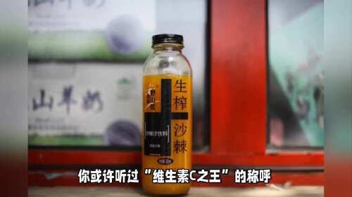 沙棘果别乱吃!吃对是宝,吃错无效,这3类人慎选!