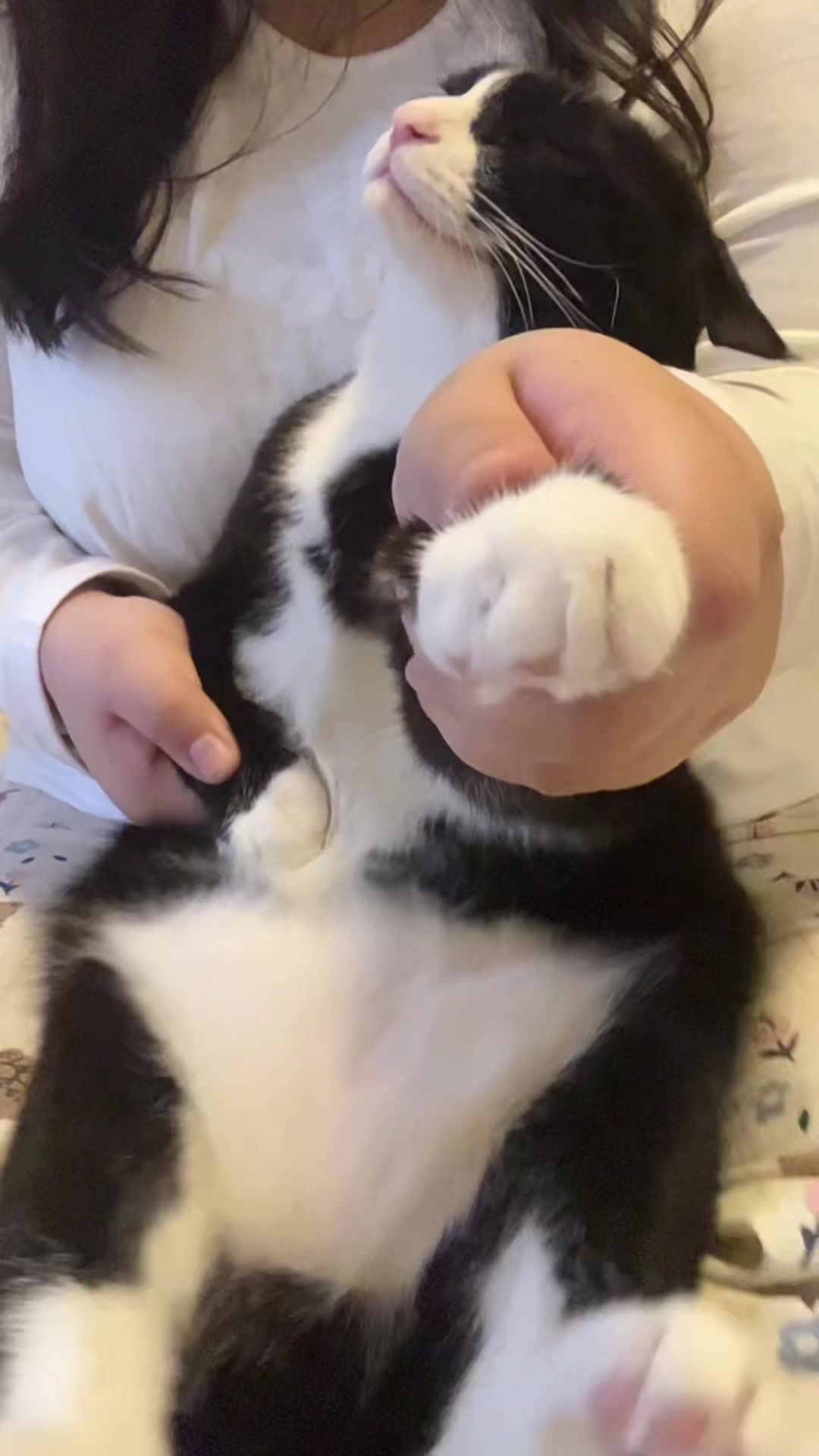 微微辣ߥ� 黑子:不想微微辣 要不然还是算辣吧#猫咪摇#猫咪手势舞#...