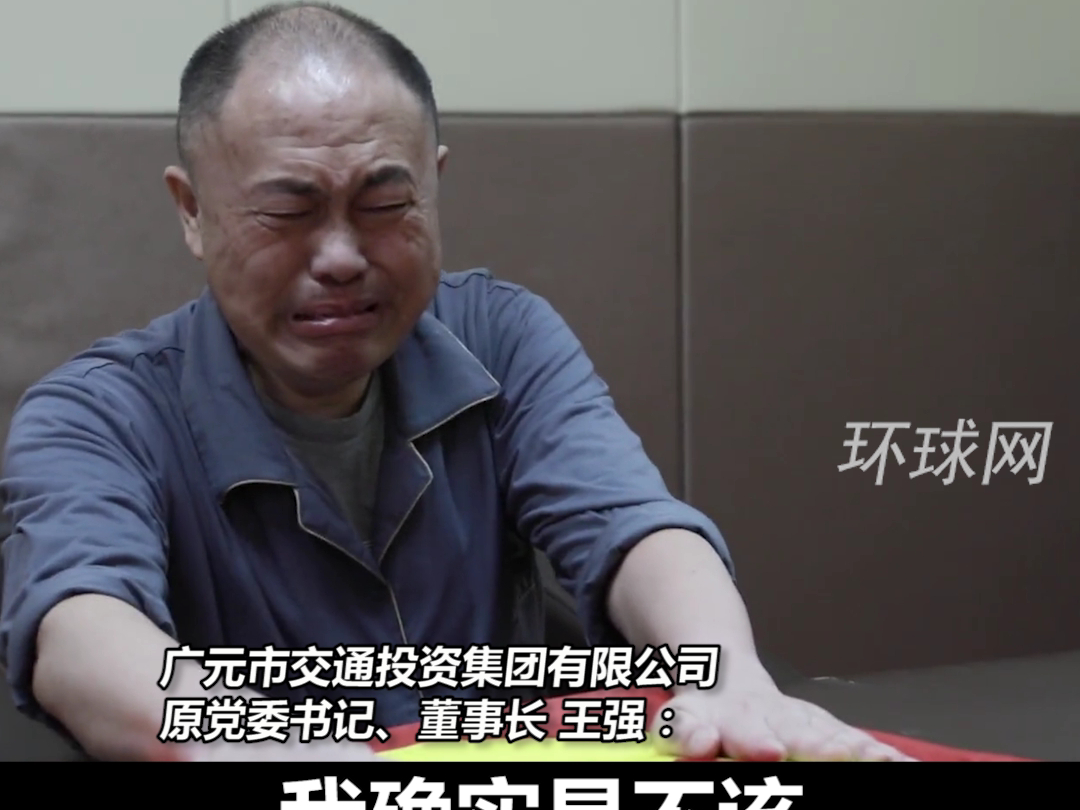 落马官员抚摸党旗痛哭:千不该万不该倒在最后一公里,砸得自己遍体鳞...