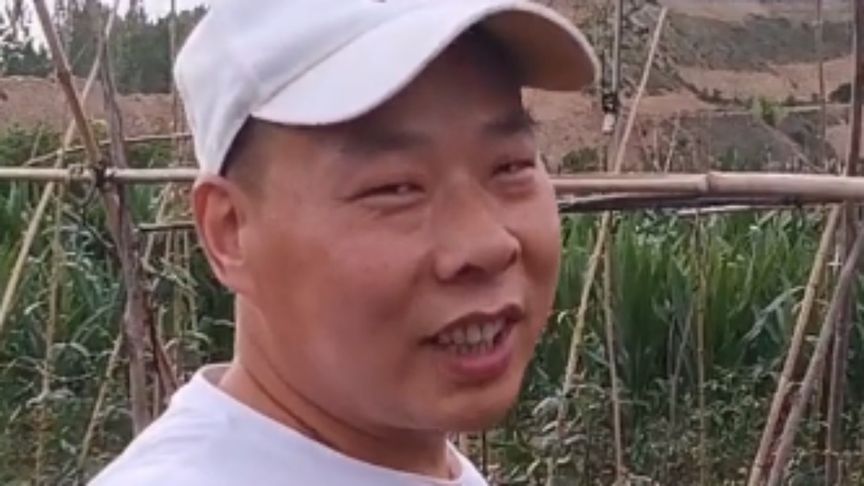 皮皮上菜园锄草搞笑百出,为什么受伤的却是我的菜