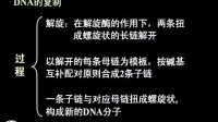 罗军辉微课:《DNA的复制》视频