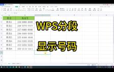 WPS分段显示号码-06