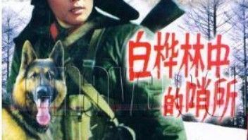 《白桦林中的哨所》男主远出女主不舍闹出尴尬场面