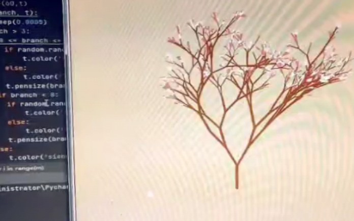 论如何用代码打出樱花树