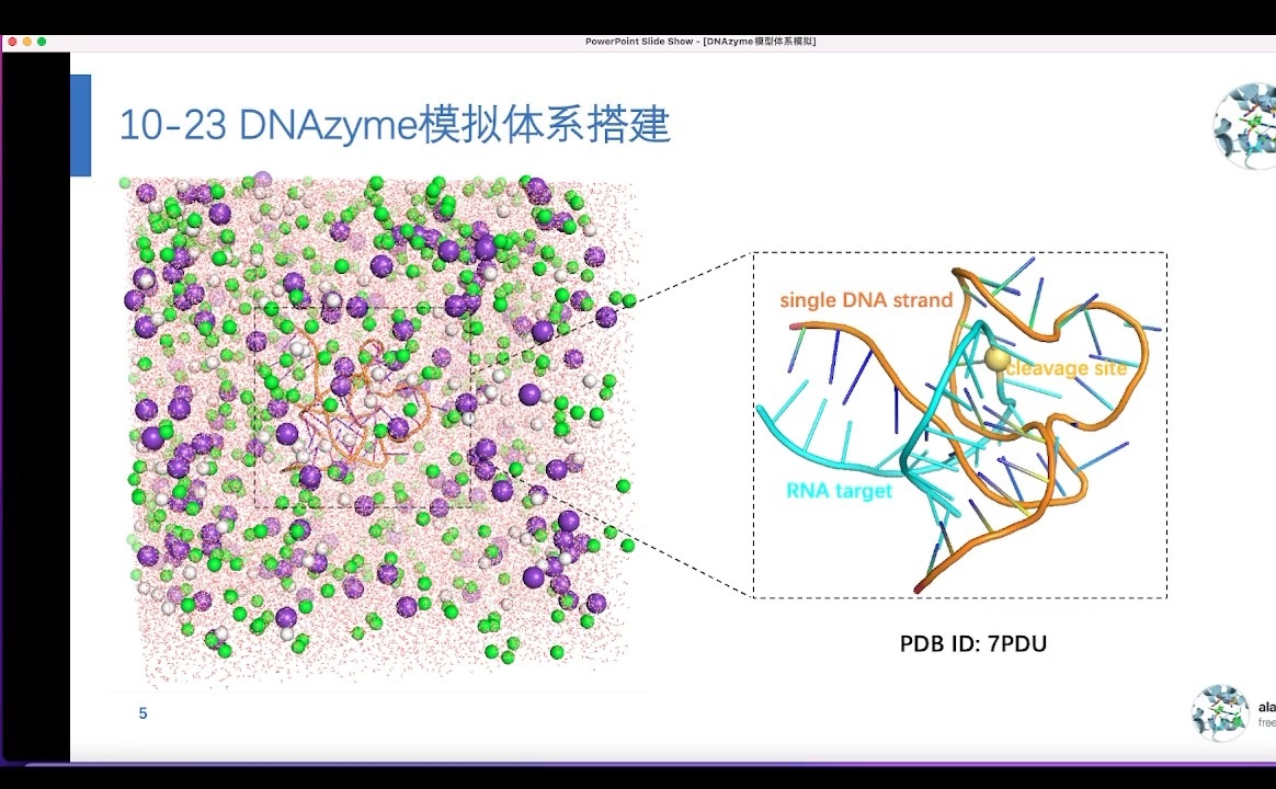 Amber分子动力学模拟-核酸分子体系DNAzyme体系的模拟