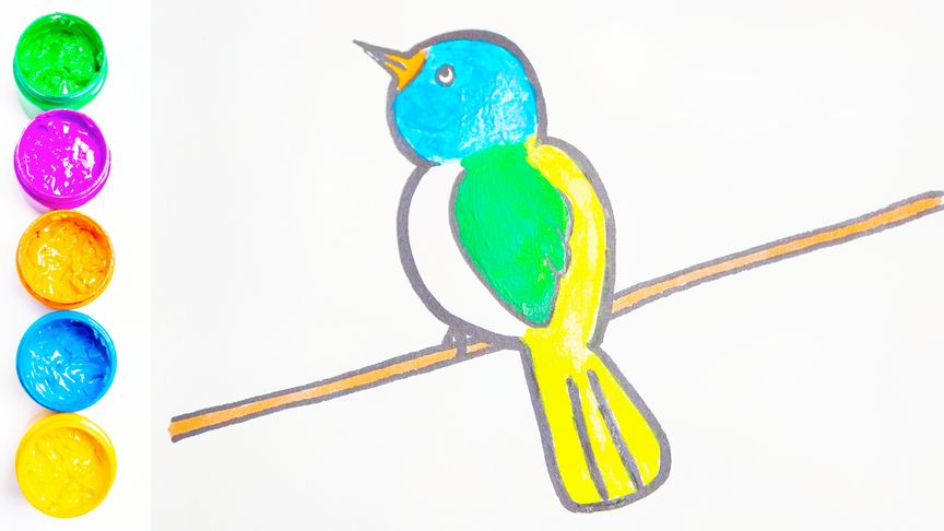 简笔画鸟画法,儿童创意绘画和趣味涂色