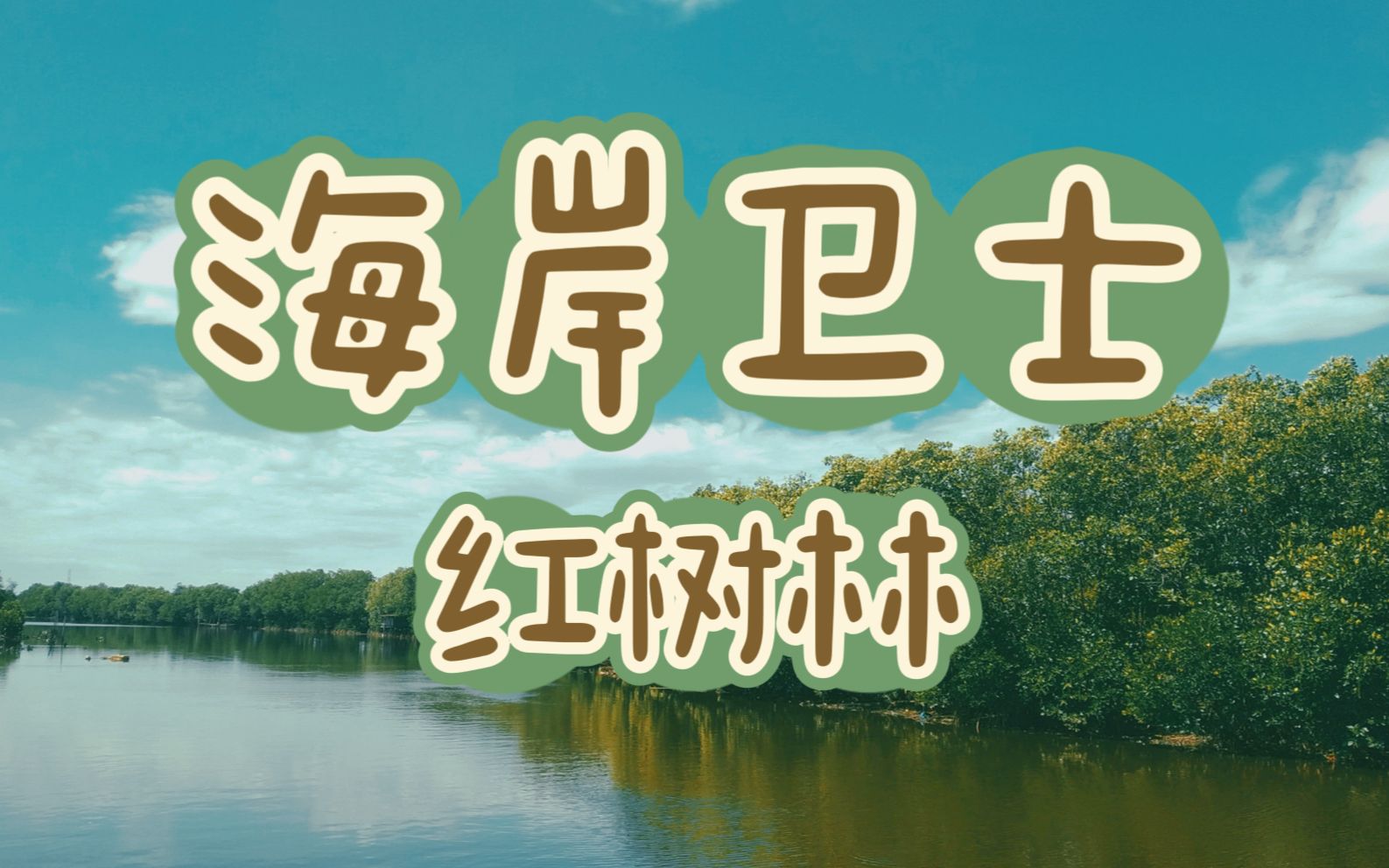 生长在海岸带的红树林,锻炼出了独家的“排盐绝技”