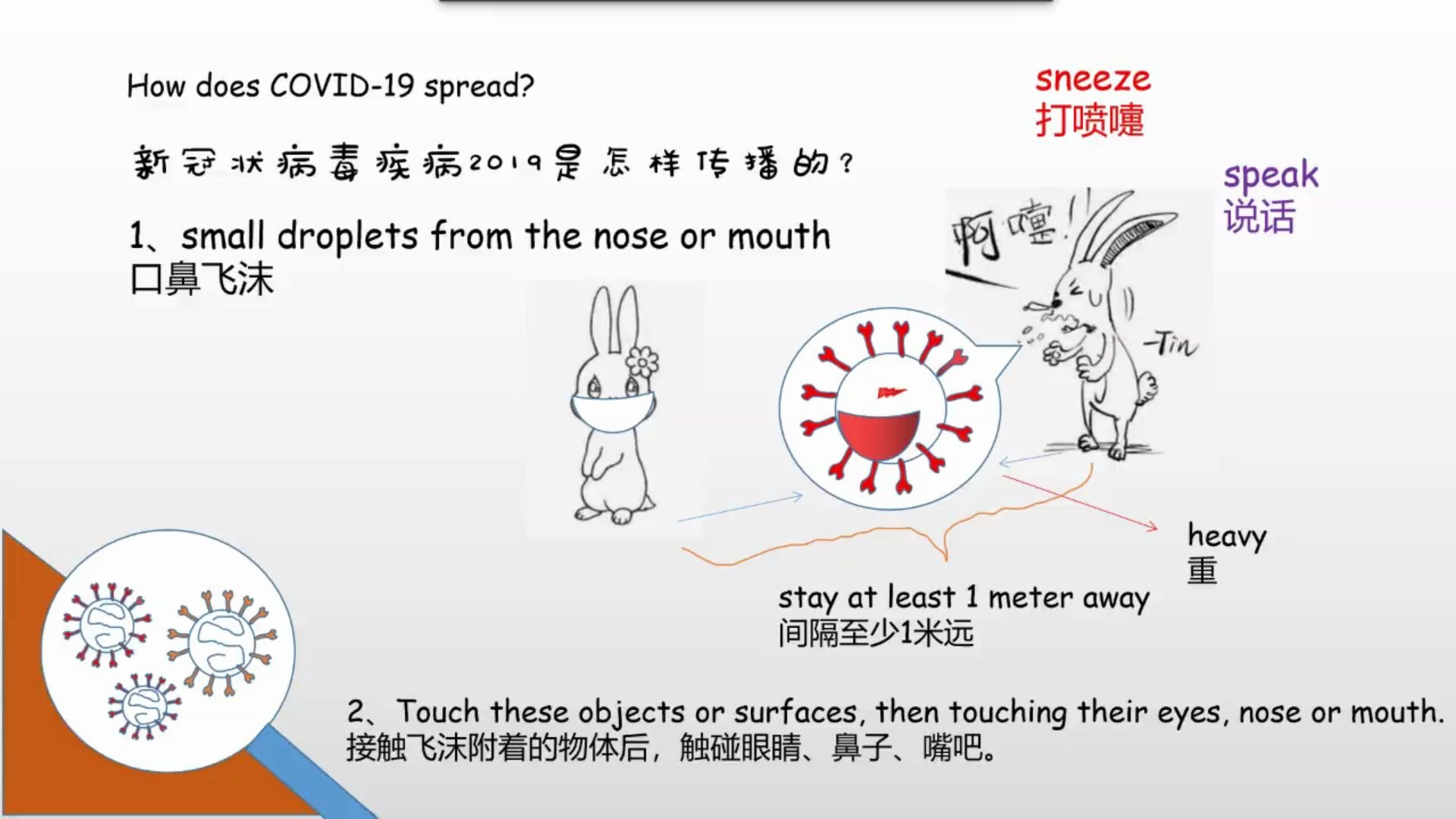 新冠病毒知多少-宠物能不能得新冠肺炎?