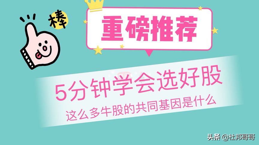 看懂财务报表,这一招告诉你好公司的标准是什么,5分钟看懂资产